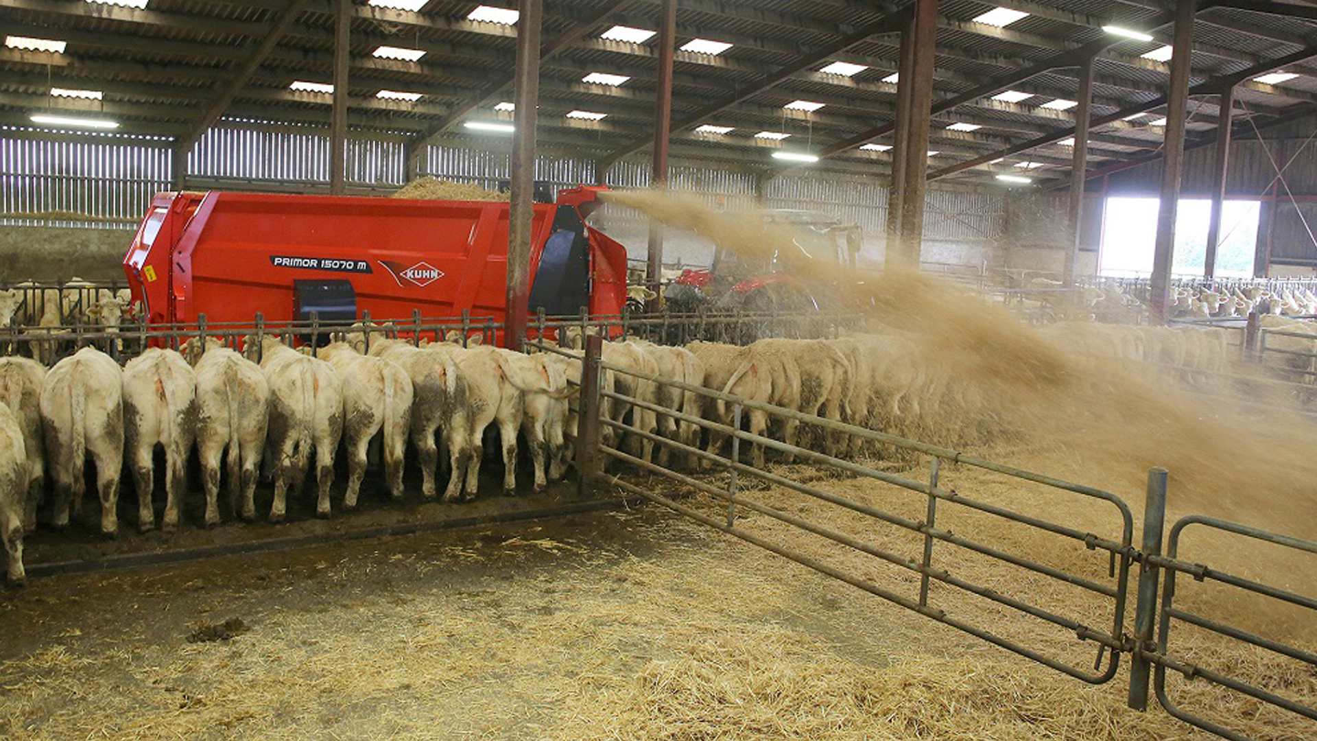 Bedding and Feeding Machines | Livestock | Agricon Zimbabwe